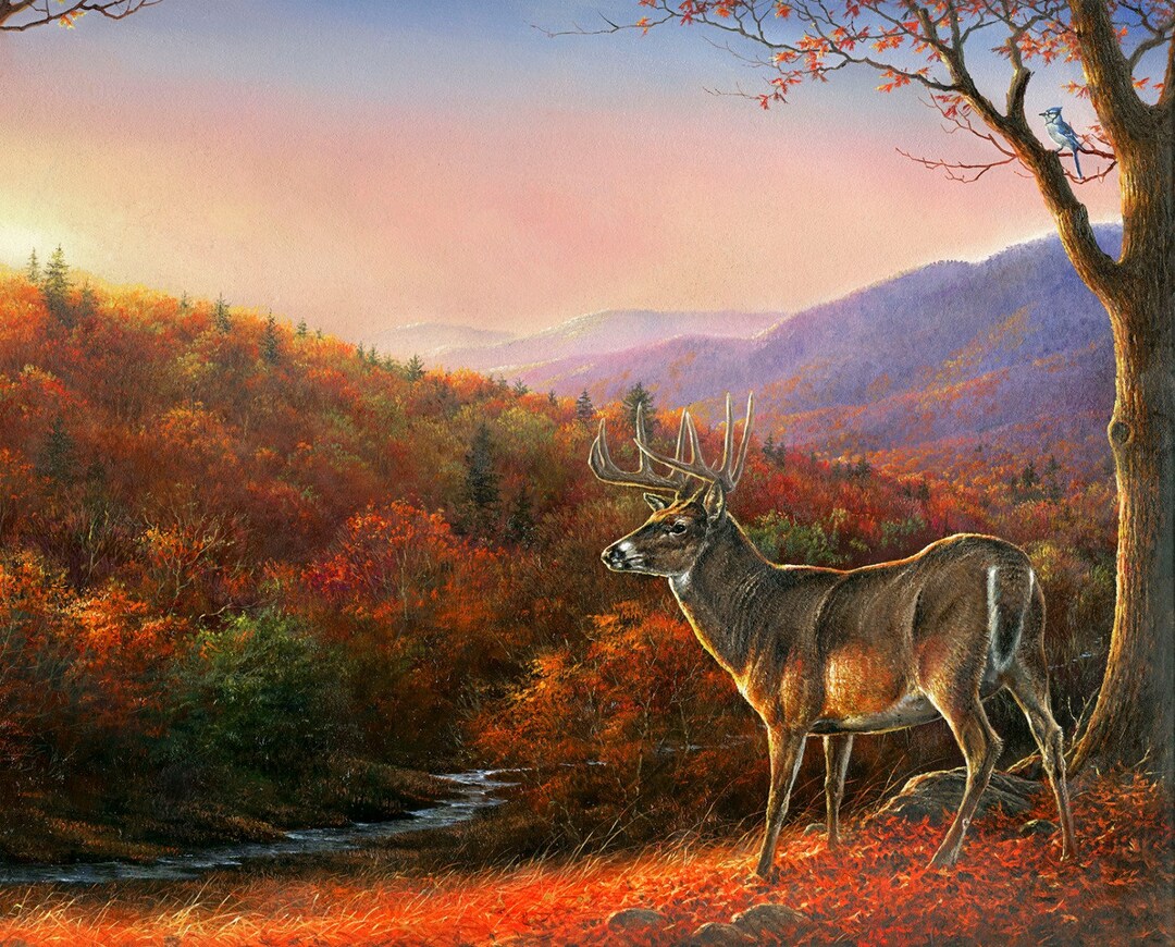 Whitetail Mountain, Strong Buck, Trees, Autumn Colors, Fall, Stream, 36 ...