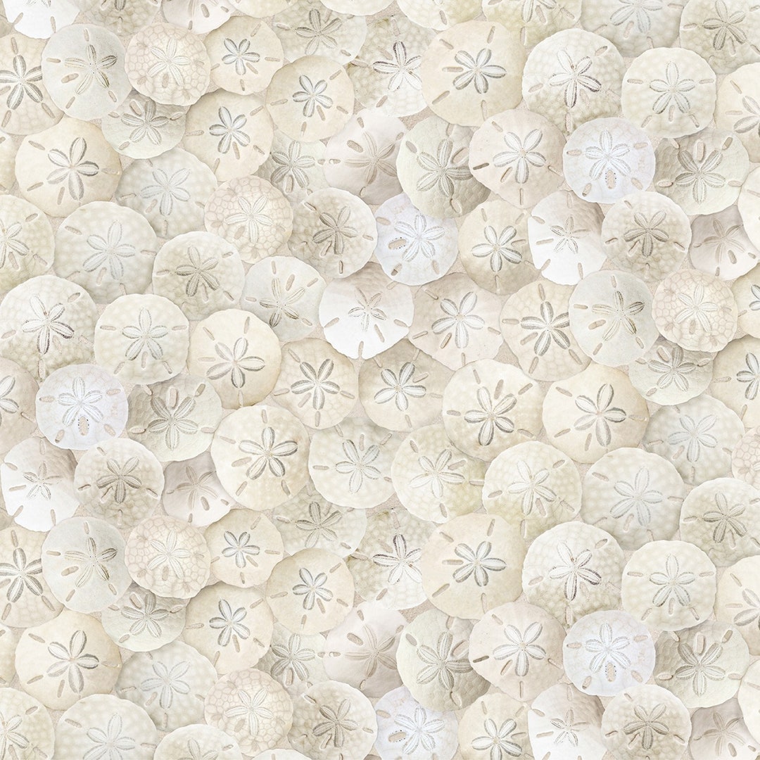 Packed Sand Dollars, Light Sand, Fabric, Beach Comber, Timeless ...