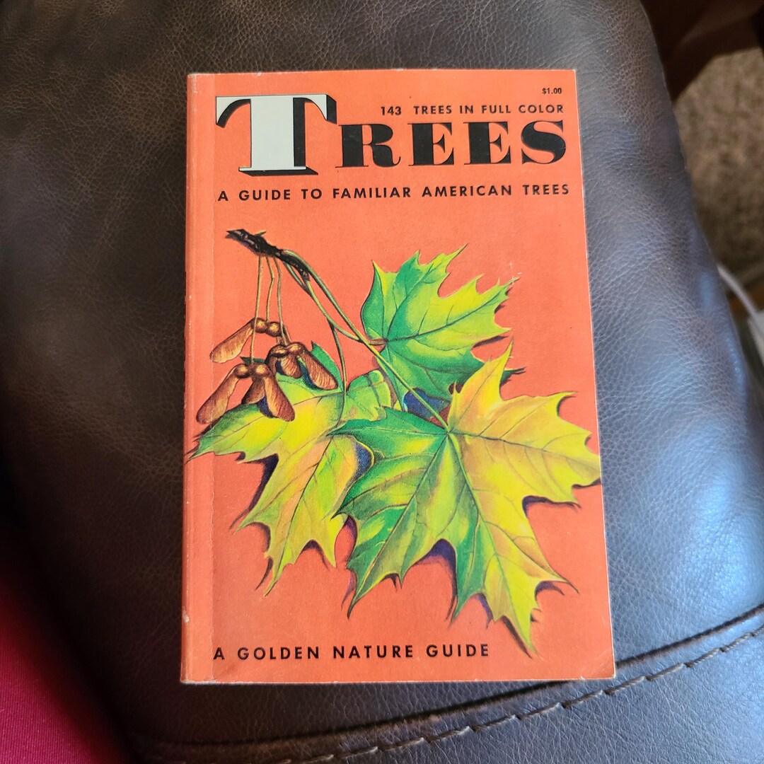 Vintage 1956 A Golden Nature Guide "trees" by Golden Press, 143 Trees ...