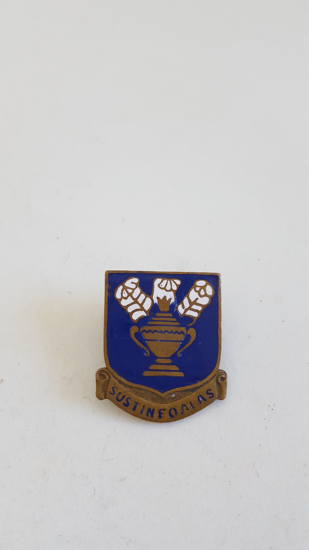 Vintage WWII Era Distinctive Unit Insignia for the US Army Air Corps ...