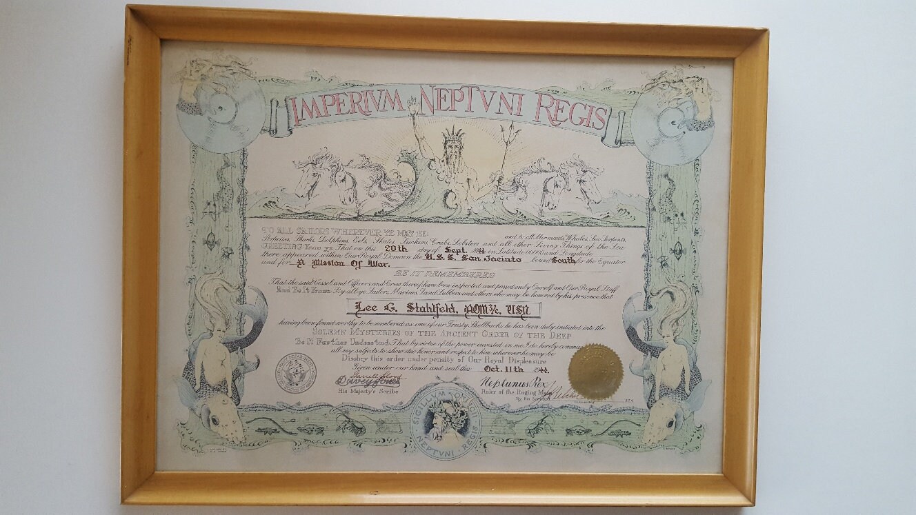 Replacement Shellback Card