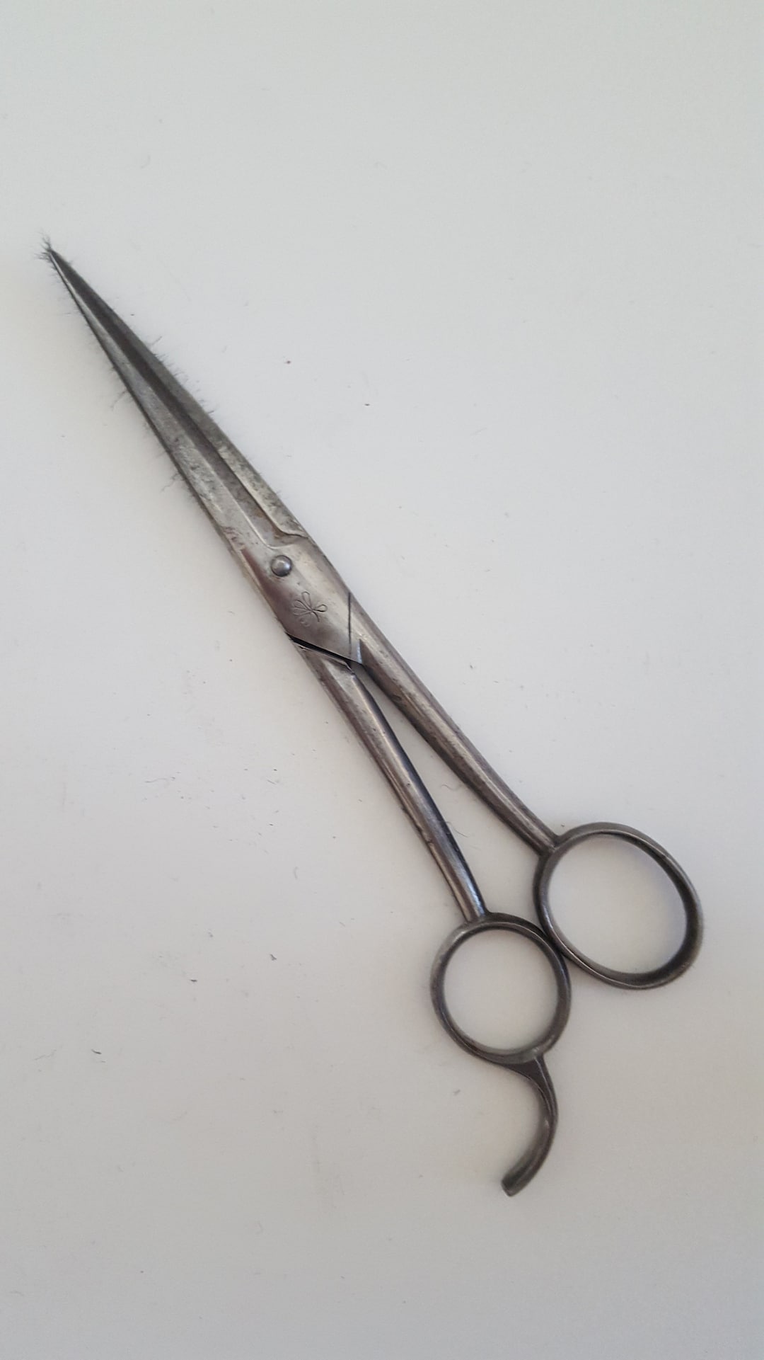 Antique Barber Scissors, W.H. Morley & Sons, Germany, Hair Cutting ...