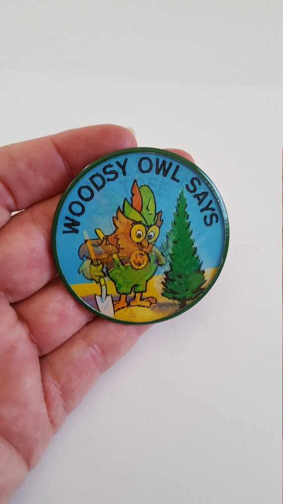 Vintage circa 1971 Vari-Vue novelty button Woodsy Ow… - Gem