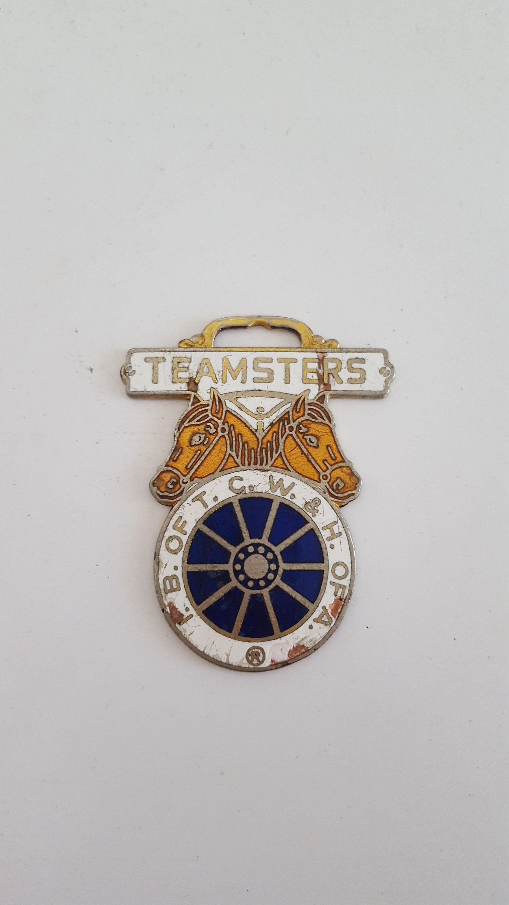 Vintage Teamsters Logo