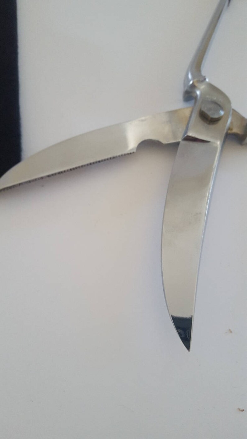 Vintage Italian poultry shears bone scissors Original Tuck | Etsy