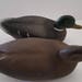 Vintage Pair of Plasti-duk Inflatable Duck Decoys, One Mallard One Hen ...