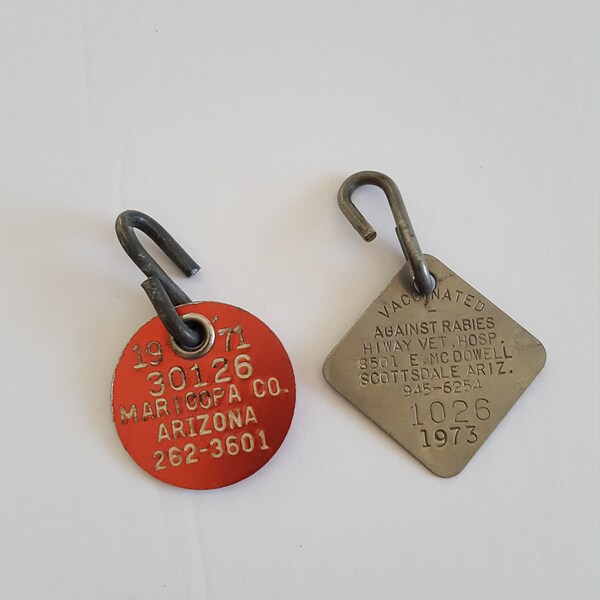 Dog License and Rabies Tag - Etsy