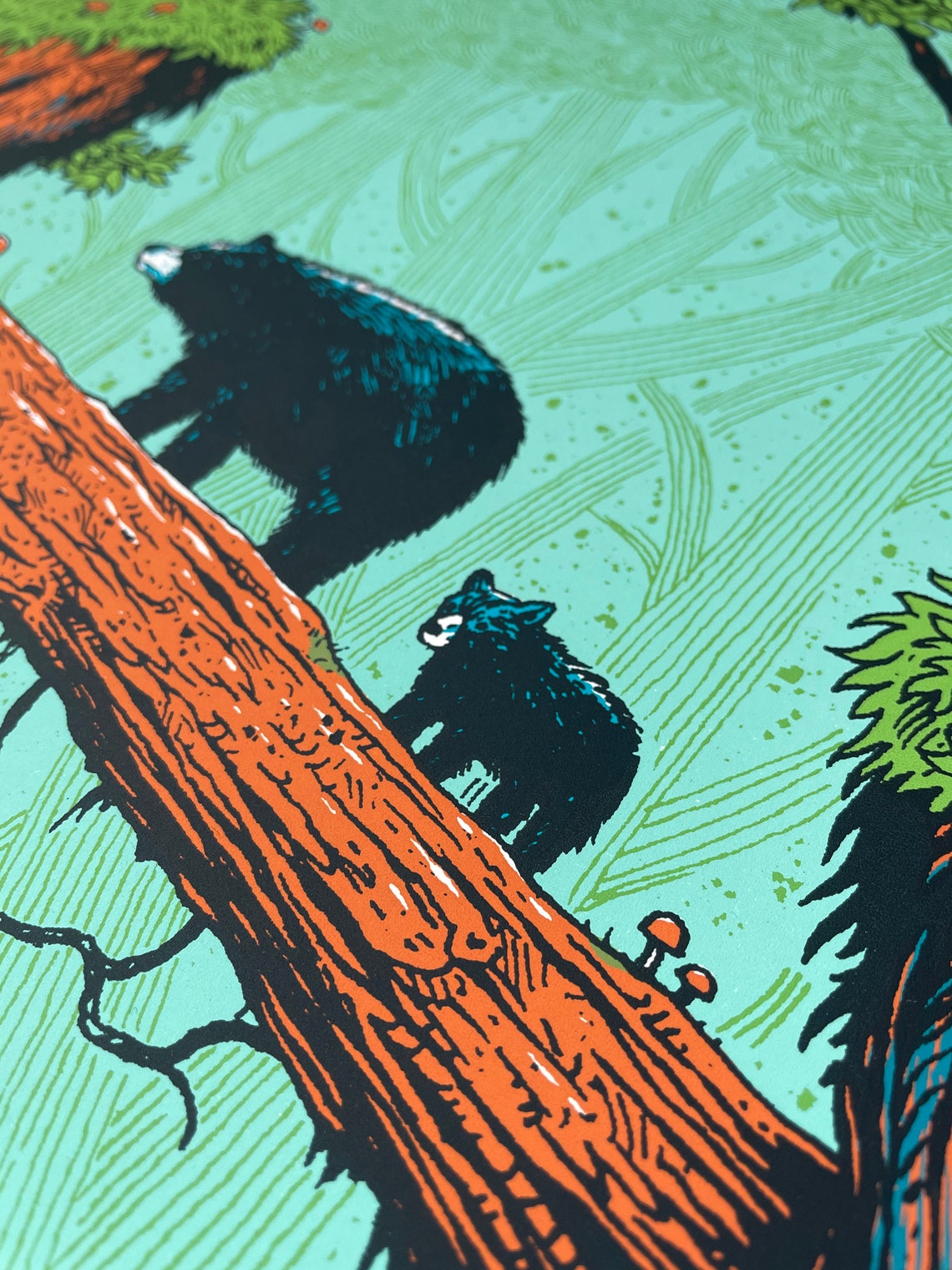 Wild Wonderful West Virginia Black Bear Fine Art Screenprint | Etsy