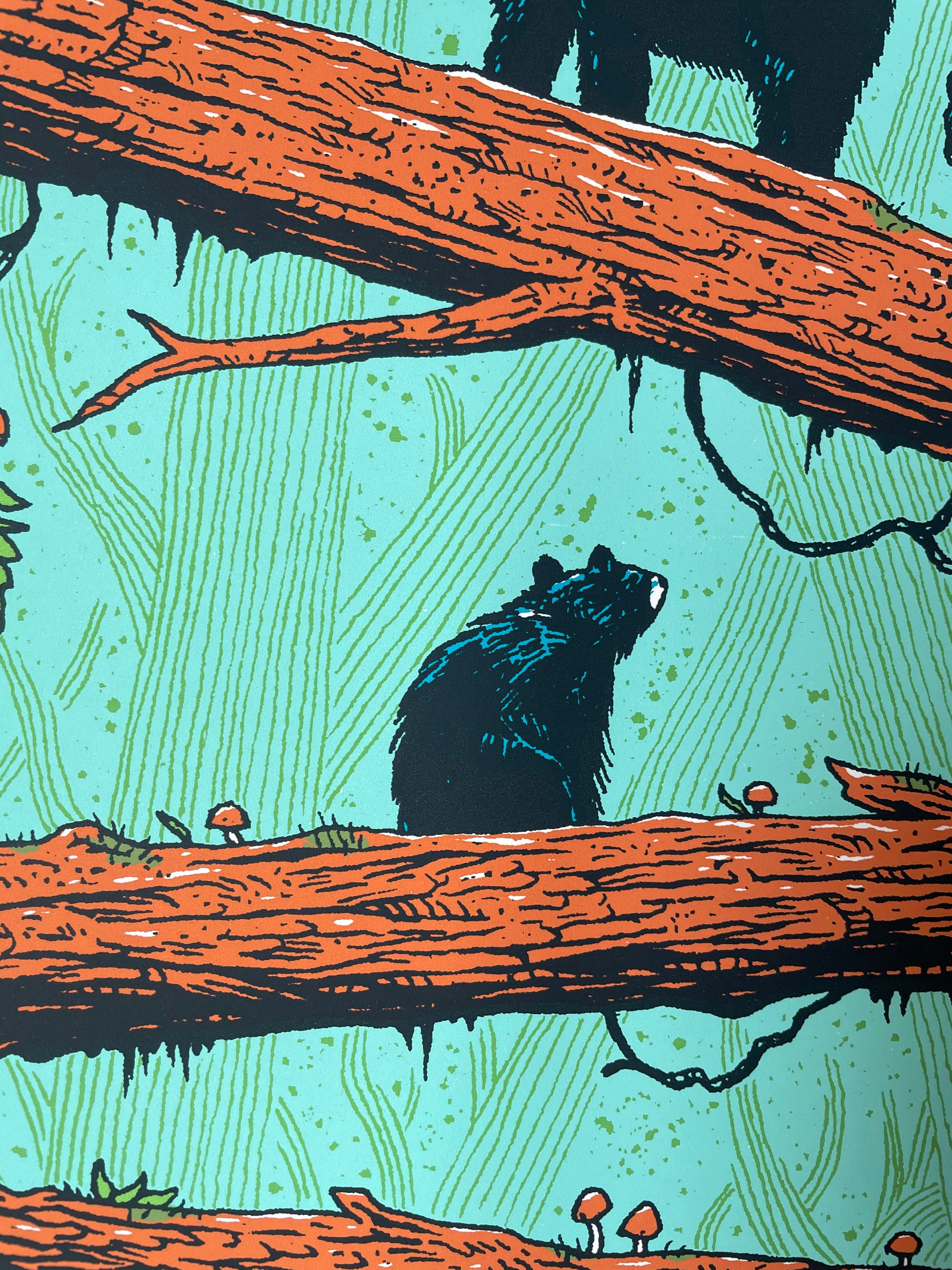 Wild Wonderful West Virginia Black Bear Fine Art Screenprint | Etsy