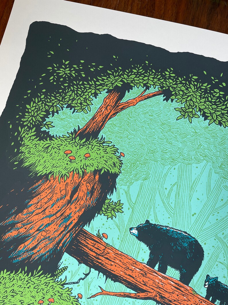 Wild Wonderful West Virginia Black Bear Fine Art Screenprint | Etsy