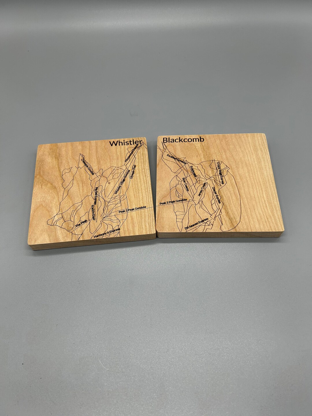 Ski Resort Coaster - Etsy