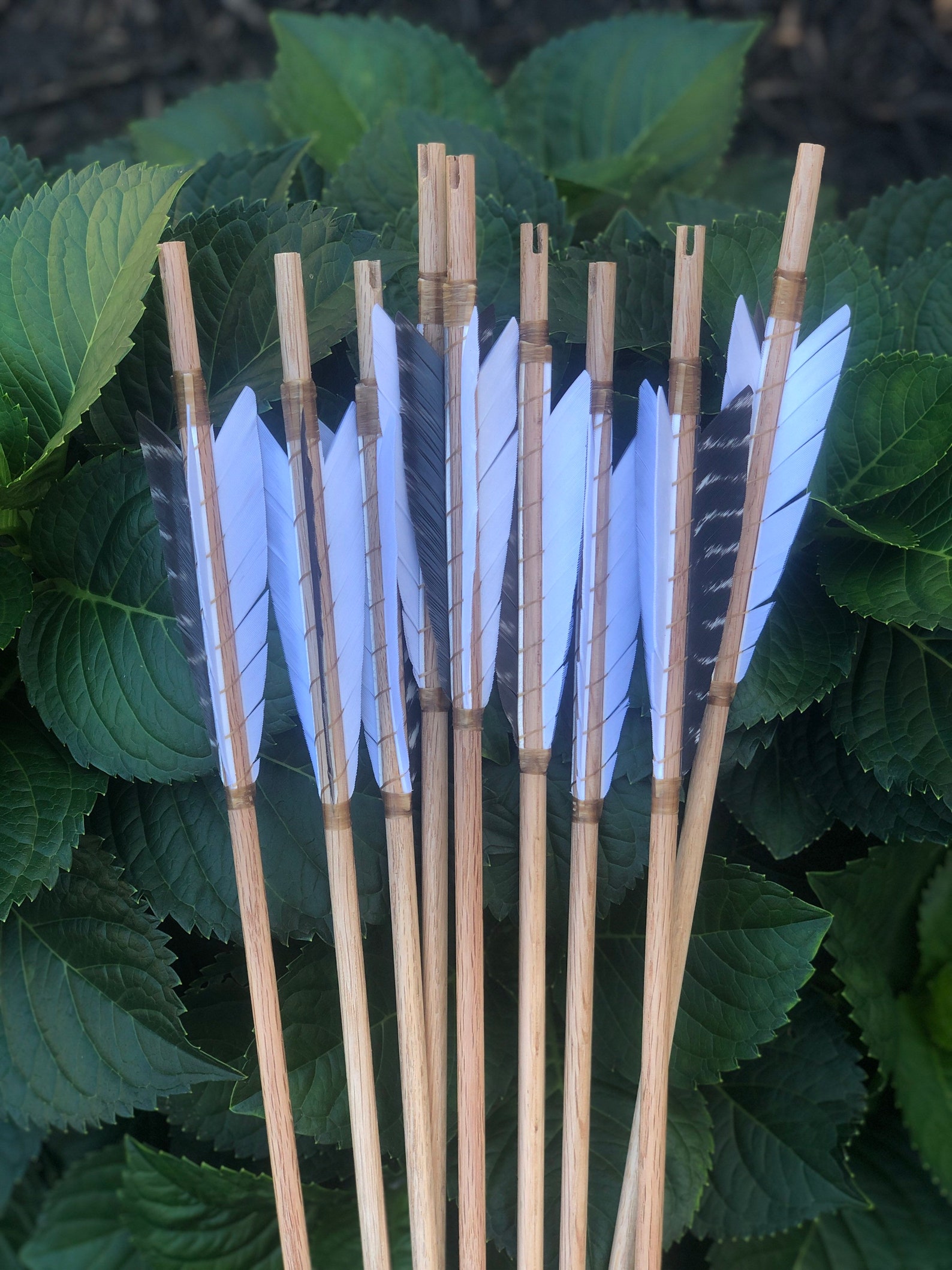 Merida Brave Arrows - Etsy