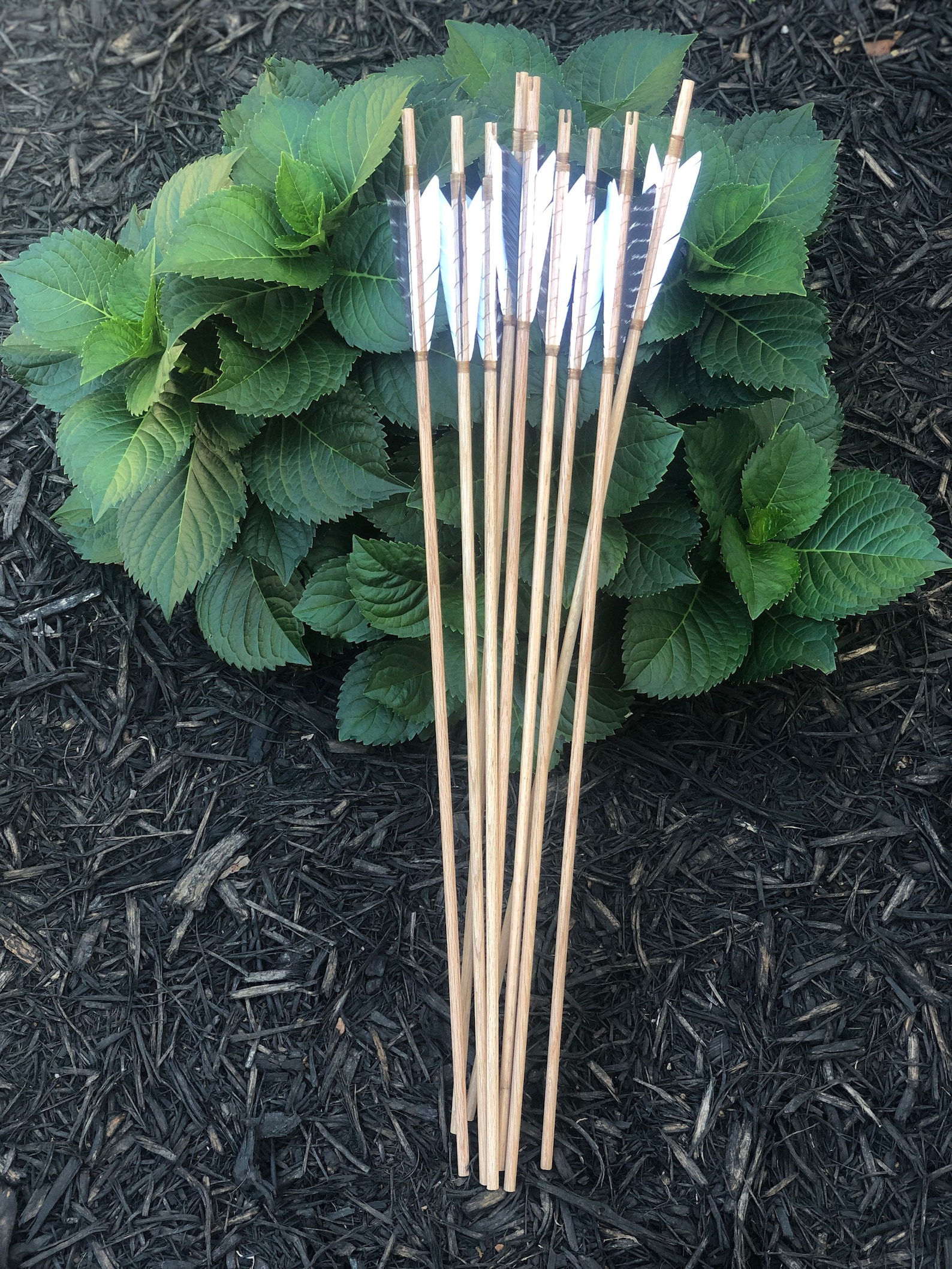 Merida Brave Arrows - Etsy