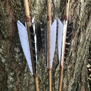 Merida Brave Arrows - Etsy