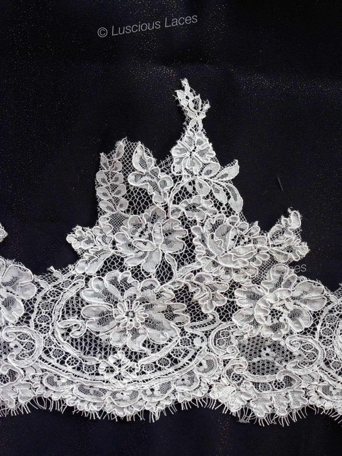 French Style Chantilly Lace Re-embroidered Corded Lace - Etsy