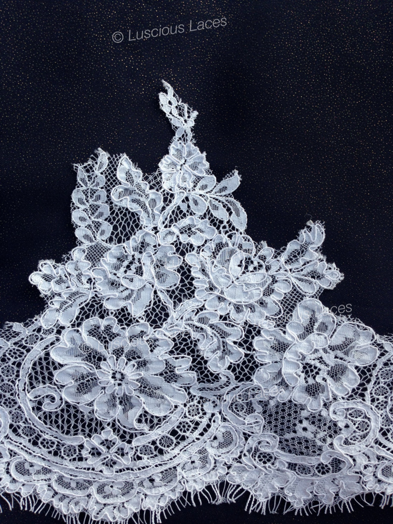 French Style Chantilly Lace Re-embroidered Corded Lace | Etsy