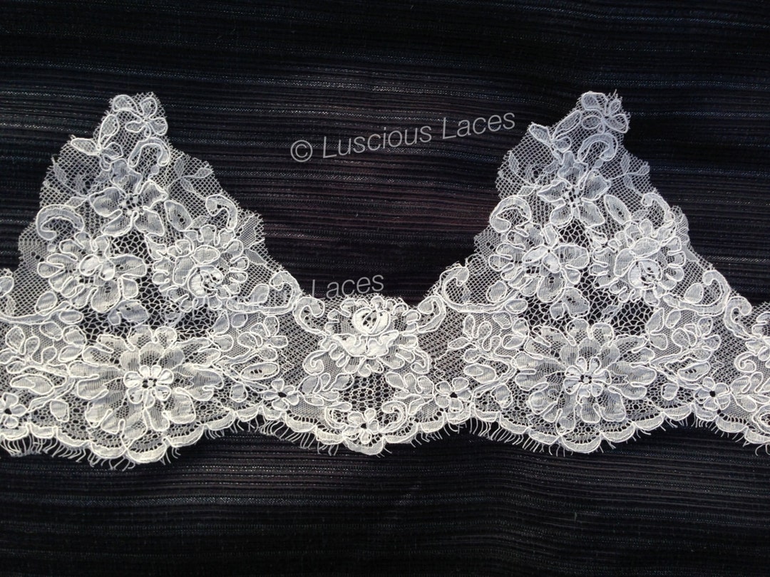 Chantilly Lace, Corded Lace, Gorgeous Re-embroidered French Style Lace ...