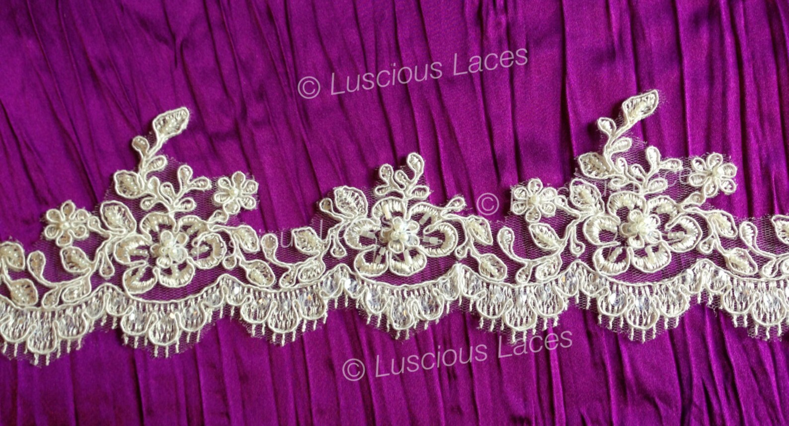 Beaded Lace With Eye Lashes Alencon Style French Scalloped - Etsy