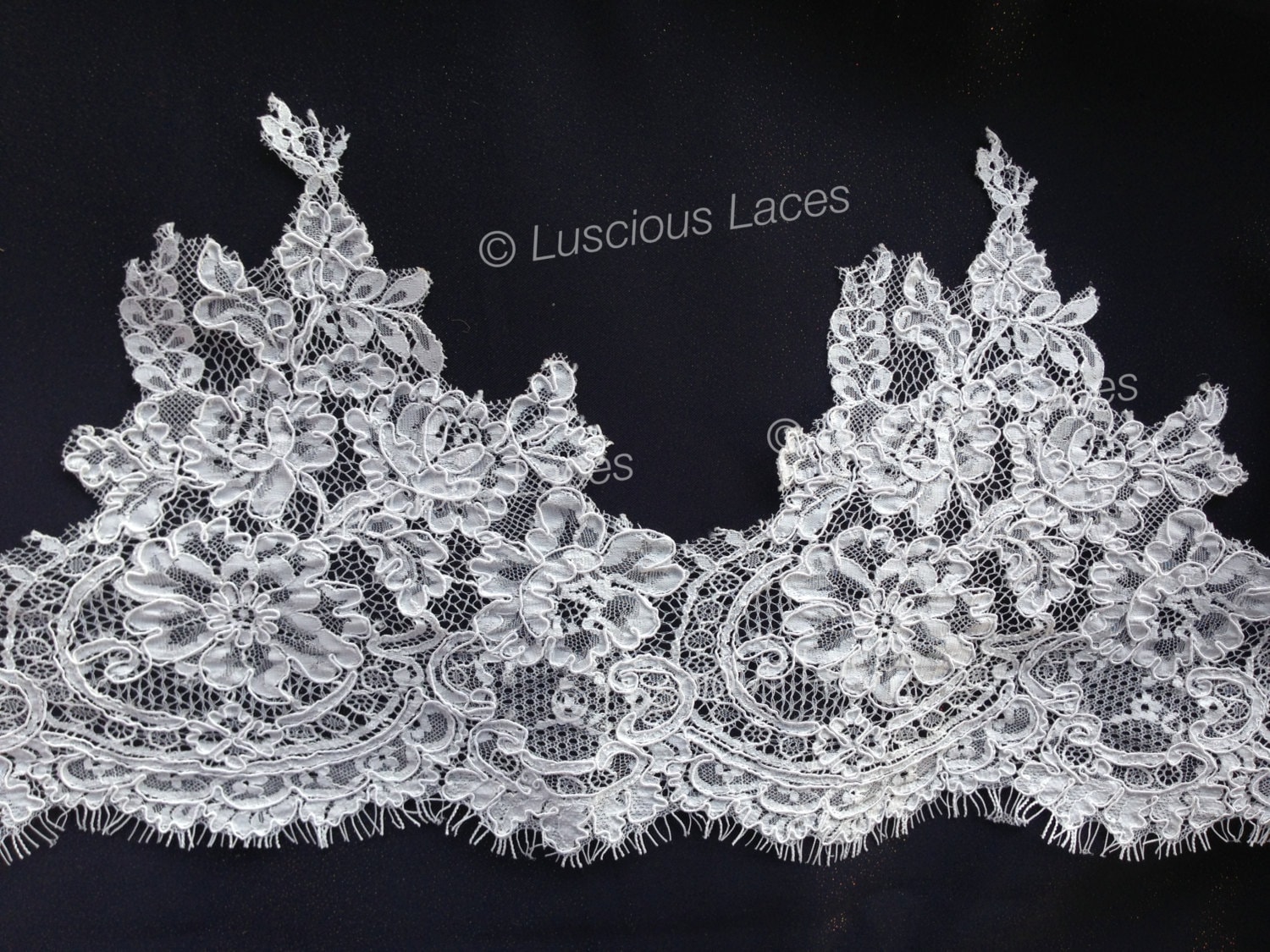 French Style Chantilly Lace Re-embroidered Corded Lace - Etsy