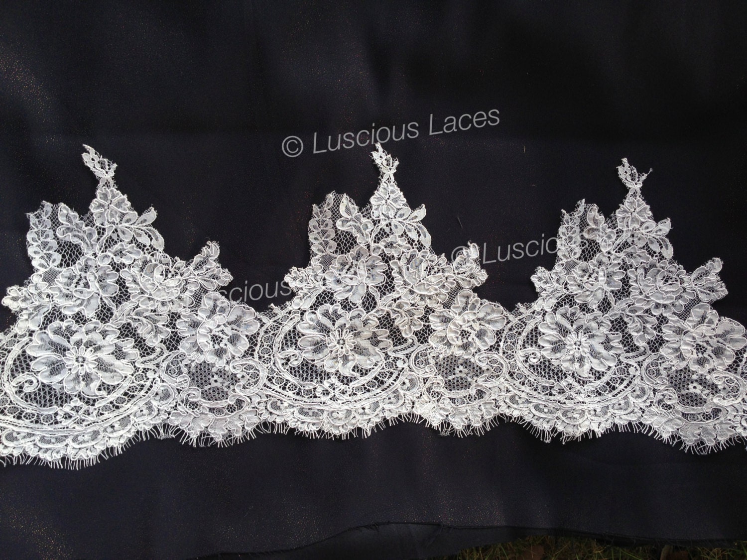 French Style Chantilly Lace Re-embroidered Corded Lace - Etsy