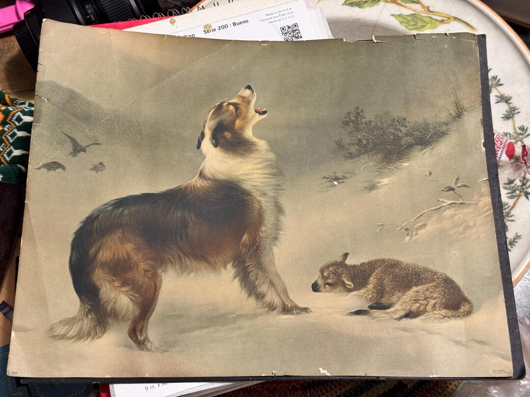 Vintage Walter Hunt Print, "the Shepherd's Pet" Victorian Collie Dog ...
