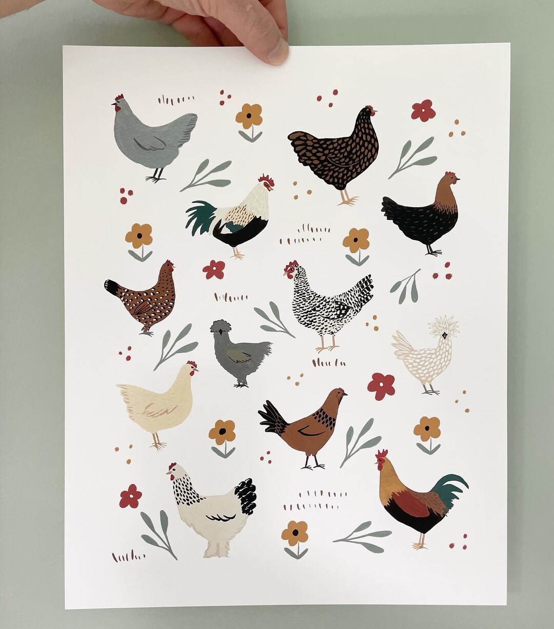 Chicken- Illustrated Print - Etsy