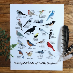 North Carolina Printable Backyard Birds of North Carolina Field Guide ...