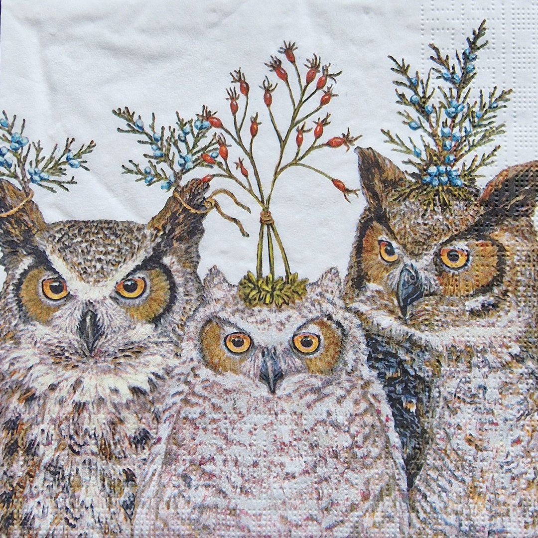 Set of 2 Paper Napkins Owls - Etsy