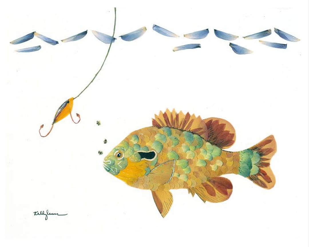 Pressed Flower Longeared Sunfish Print - Etsy