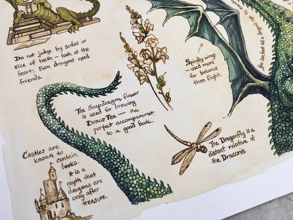 PRINT Draco Draconis archival Limited Edition Giclee Print - Etsy