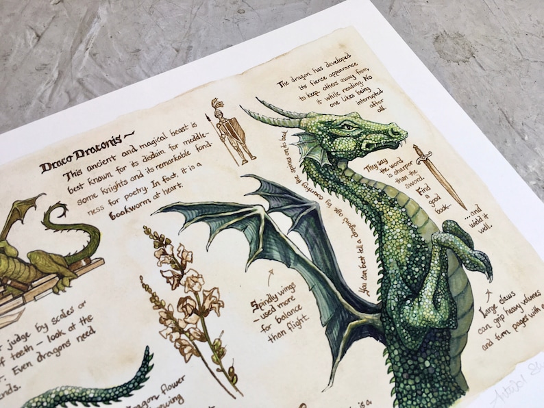 PRINT Draco Draconis archival Limited Edition Giclee Print - Etsy