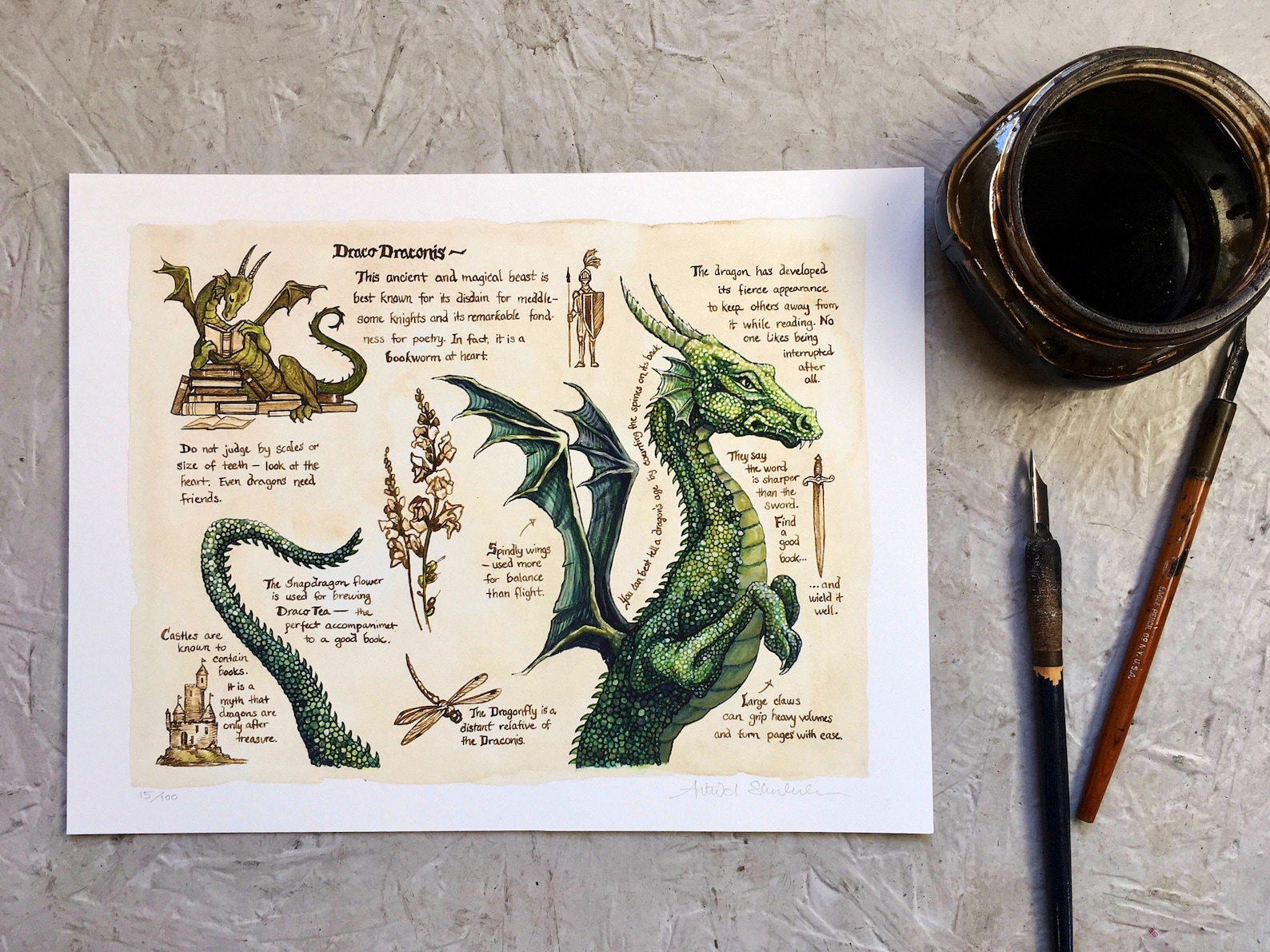 PRINT Draco Draconis archival Limited Edition Giclee Print - Etsy
