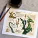 PRINT Draco Draconis archival Limited Edition Giclee Print, Signed ...