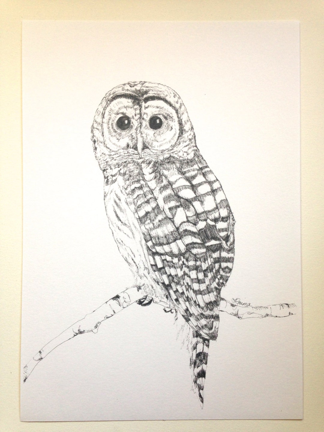 Black and White Owl Print - Etsy