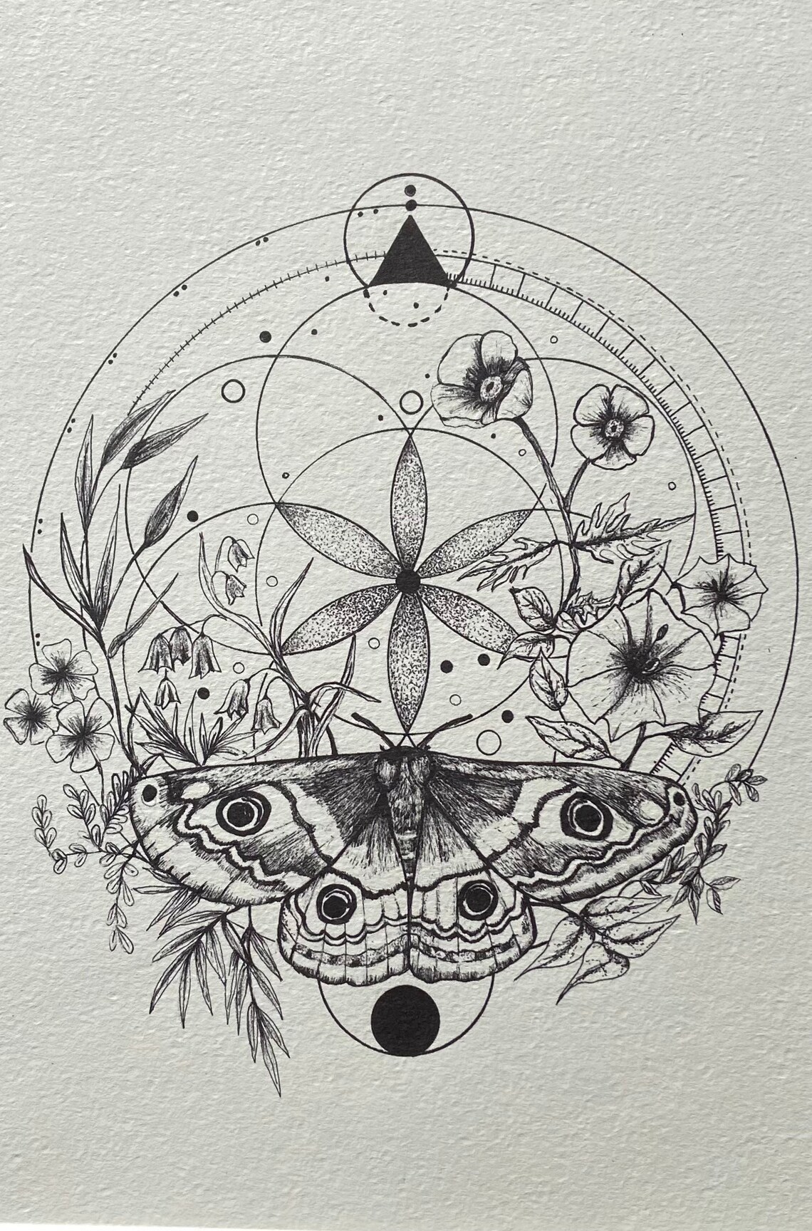Mystical Moth Sacred Geometry Print - Etsy