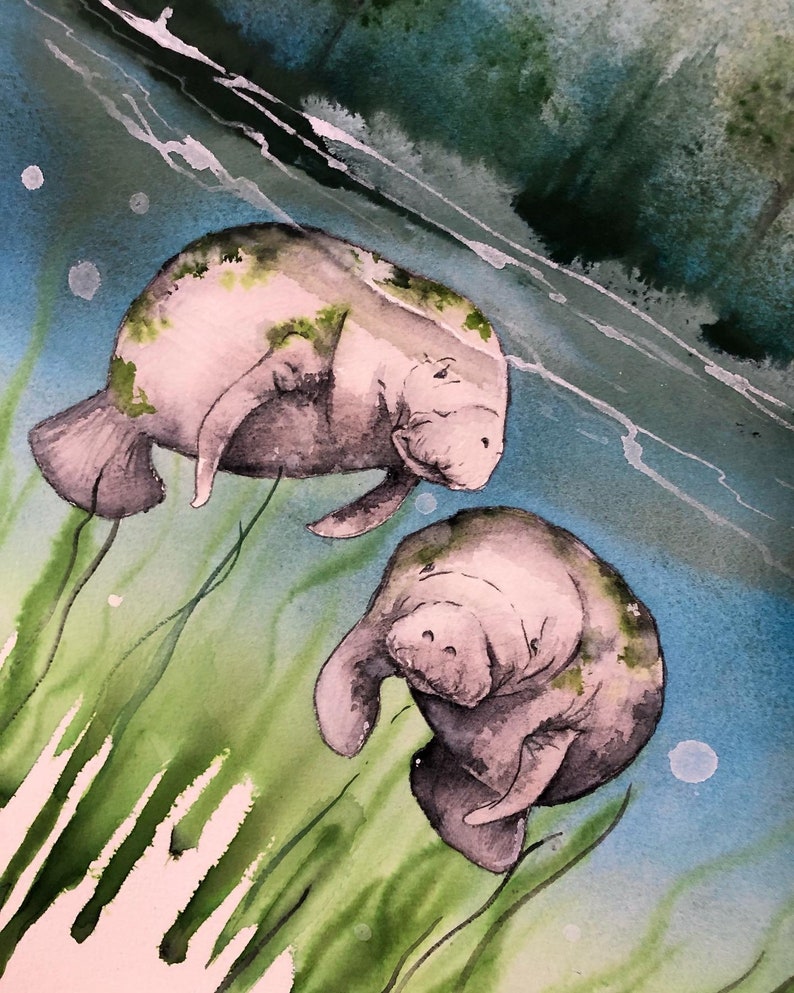 Manatee Watercolor Original Painting Digital Download - Etsy