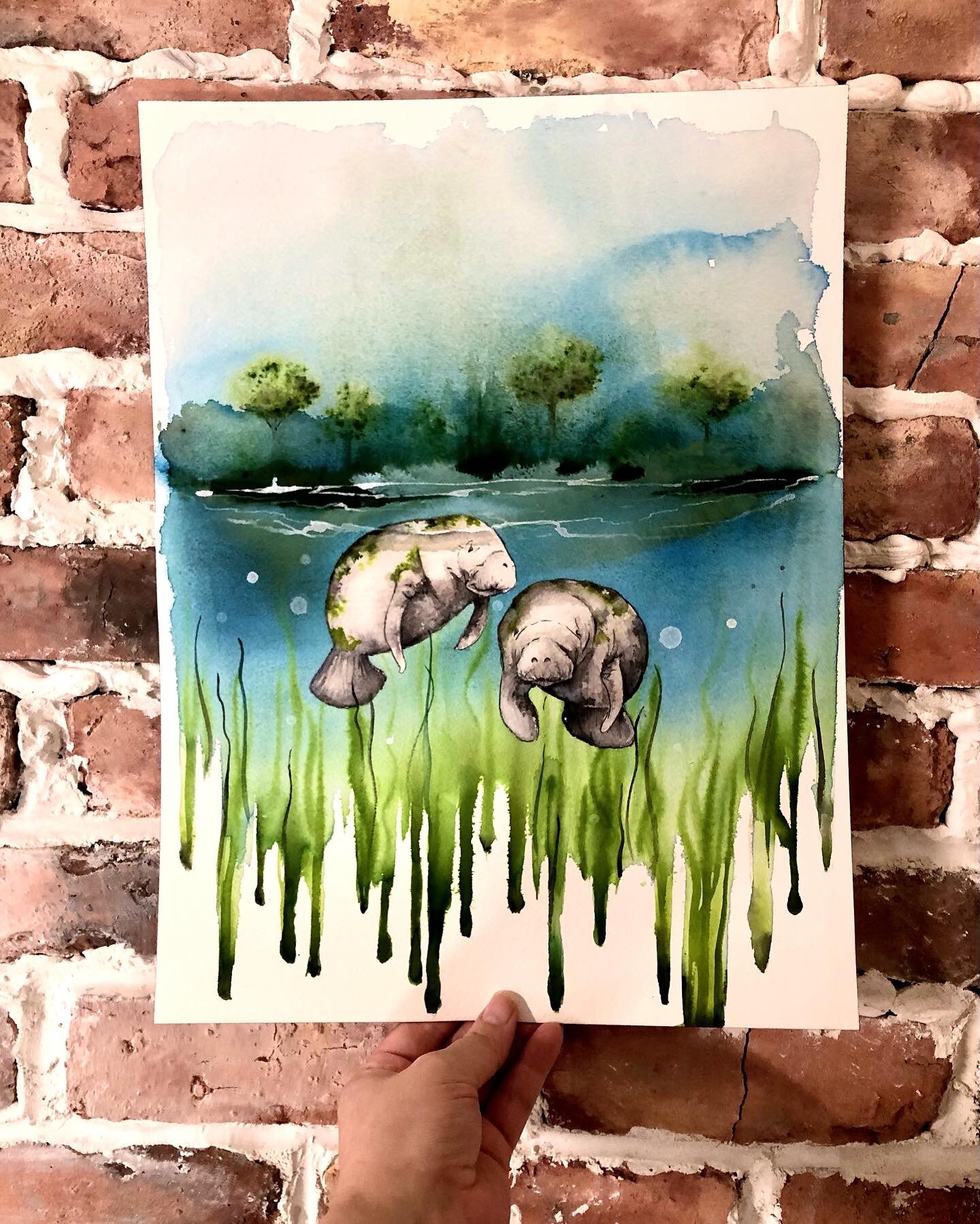 Manatee Watercolor Original Painting Digital Download - Etsy
