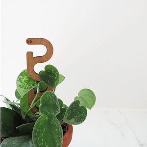 Wood Plant Trellis - Wood Plant Support - Plant Trellis - Plant ...