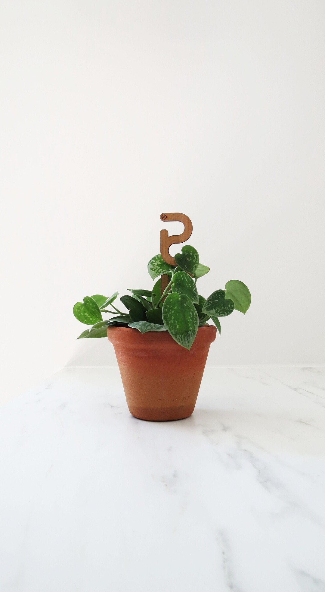 Wood Plant Trellis - Wood Plant Support - Plant Trellis - Plant ...