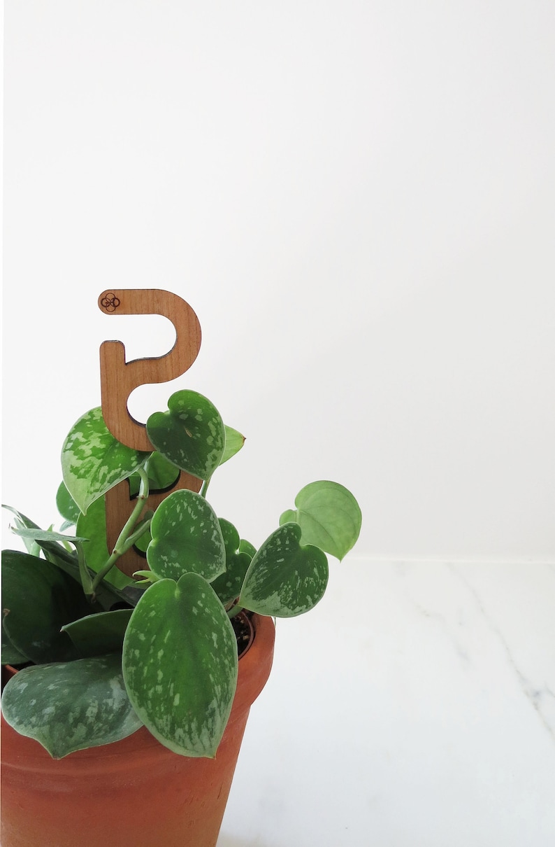 Wood Plant Trellis Wood Plant Support Plant Trellis - Etsy