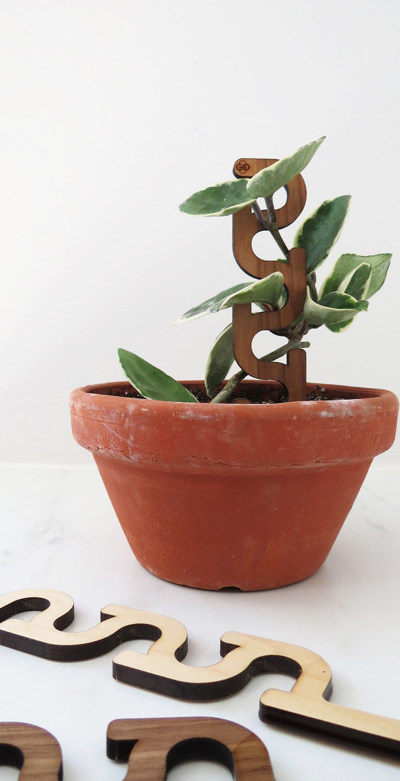 Wood Plant Trellis Wood Plant Support Plant Trellis - Etsy