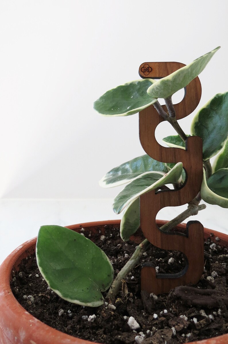Wood Plant Trellis Wood Plant Support Plant Trellis - Etsy