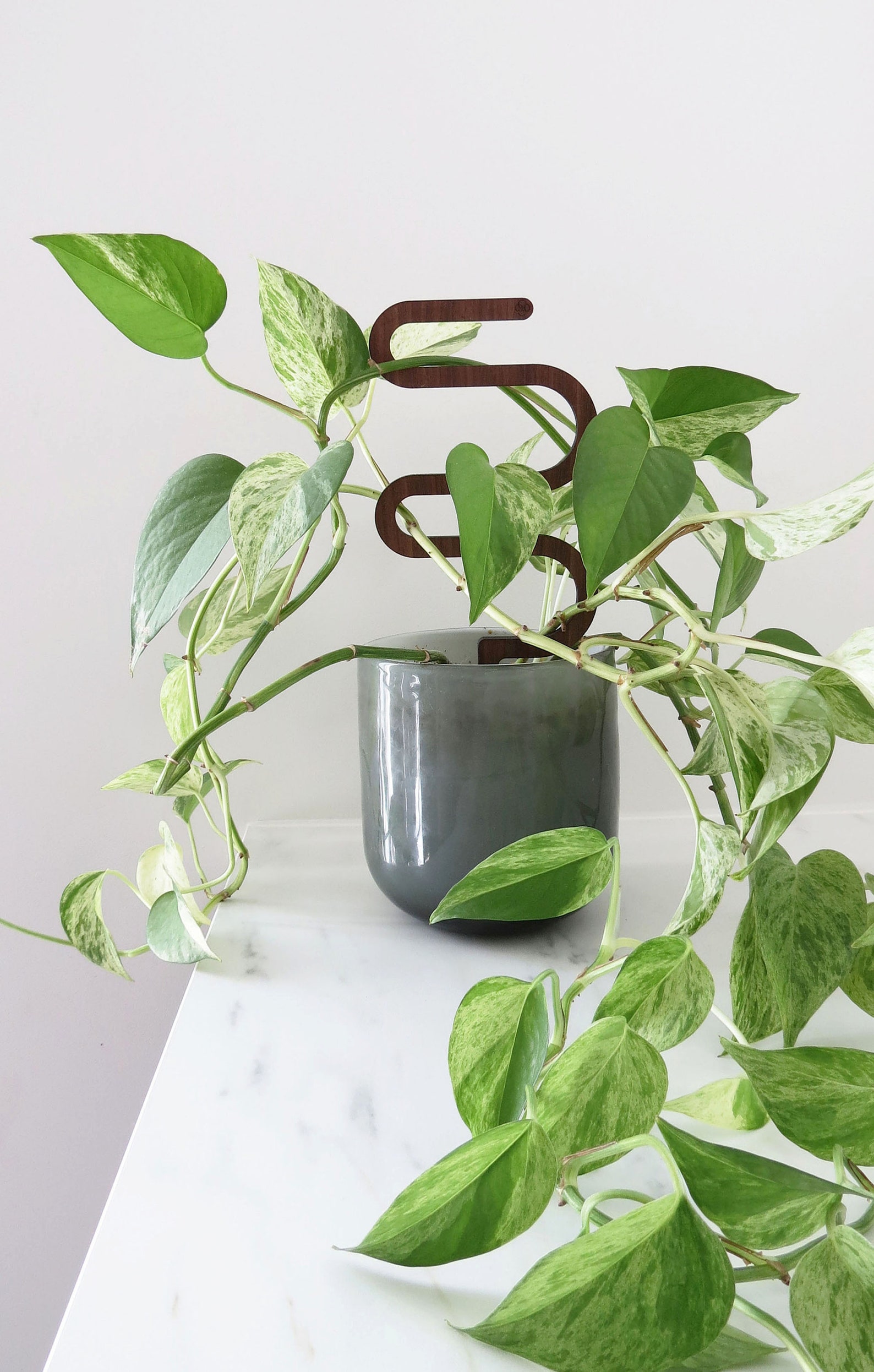 Wood Plant Trellis Wood Plant Supports Plant Trellis - Etsy