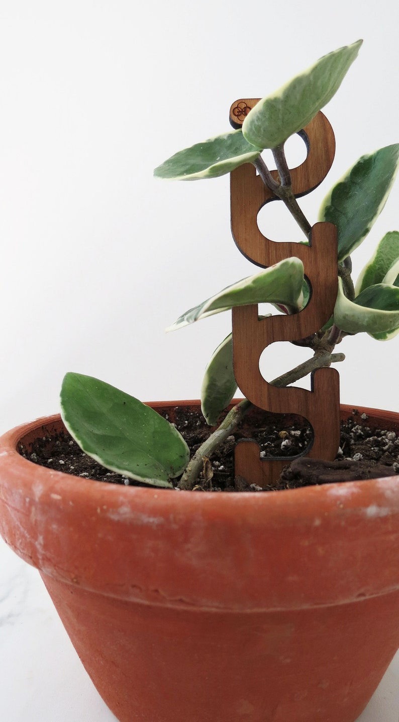 Wood Plant Trellis Wood Plant Support Plant Trellis - Etsy