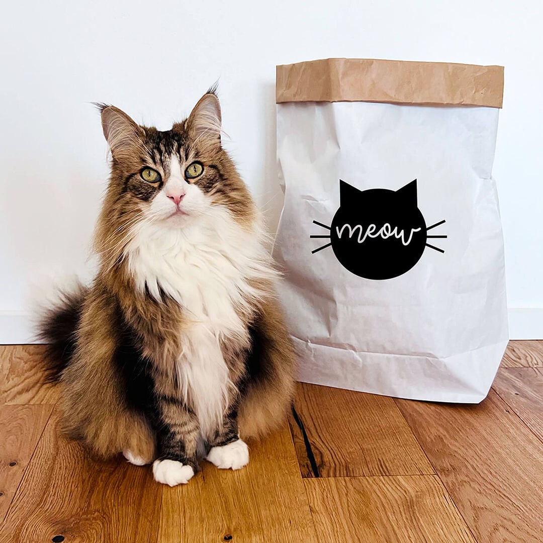 Cat Paper Bag meow Storage for Cat Toys Rustling Bag Made of Paper ...