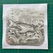 Original Japanese Sumie-dolphin-waves-sumi Ink Painting-suibokuga-zen ...