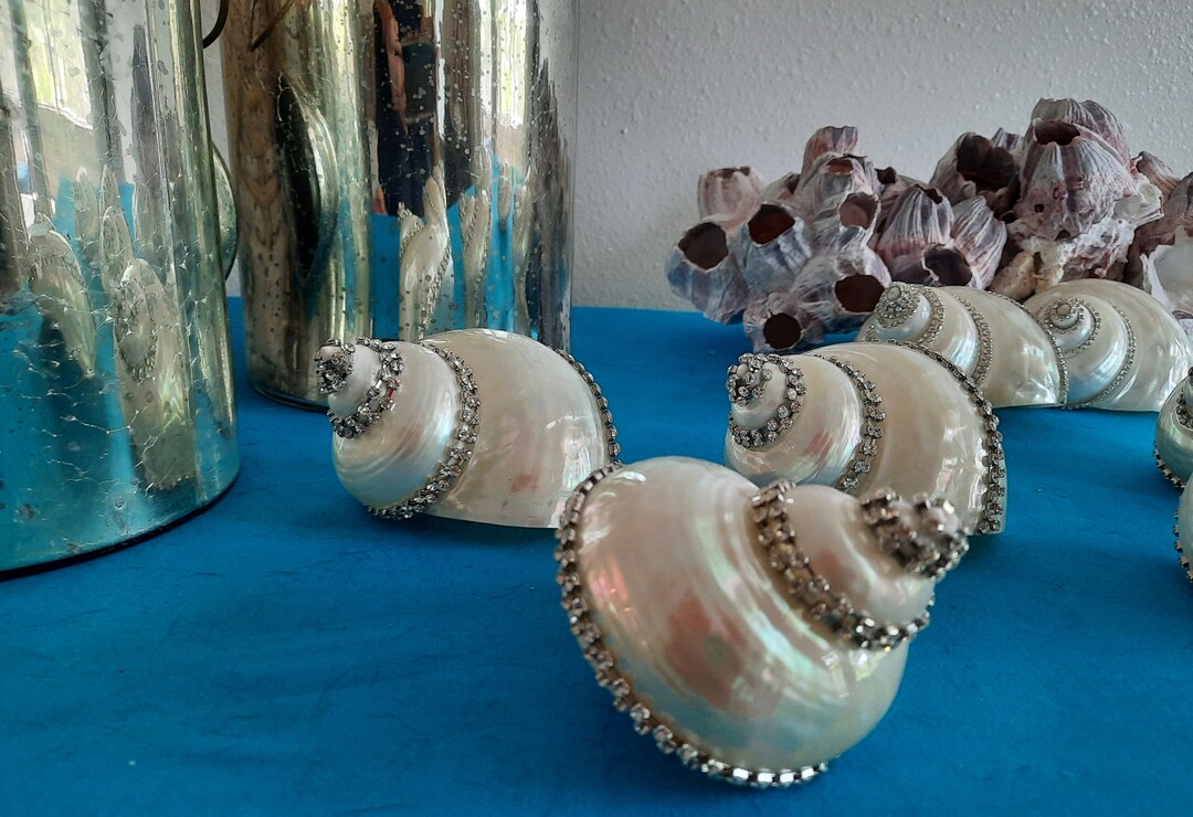 Crystal Covered Turbo Coastal Home Decor Beach Home Nautical Style ...