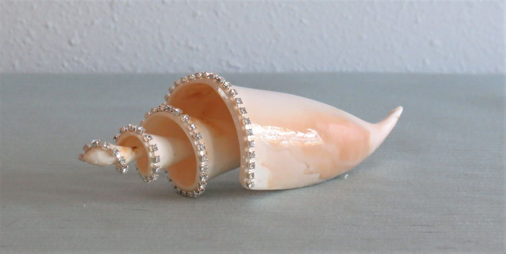 Spiral Cut Conch Swarovski Jeweled Seashell for Coastal Home - Etsy