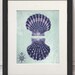 Blue Sea Shell Art Print - Blue Scallop Shells - Sea Shell Print ...