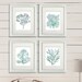 Sea Coral Prints Set 4 Corals in Green 1 Nautical Art Prints Nautical ...